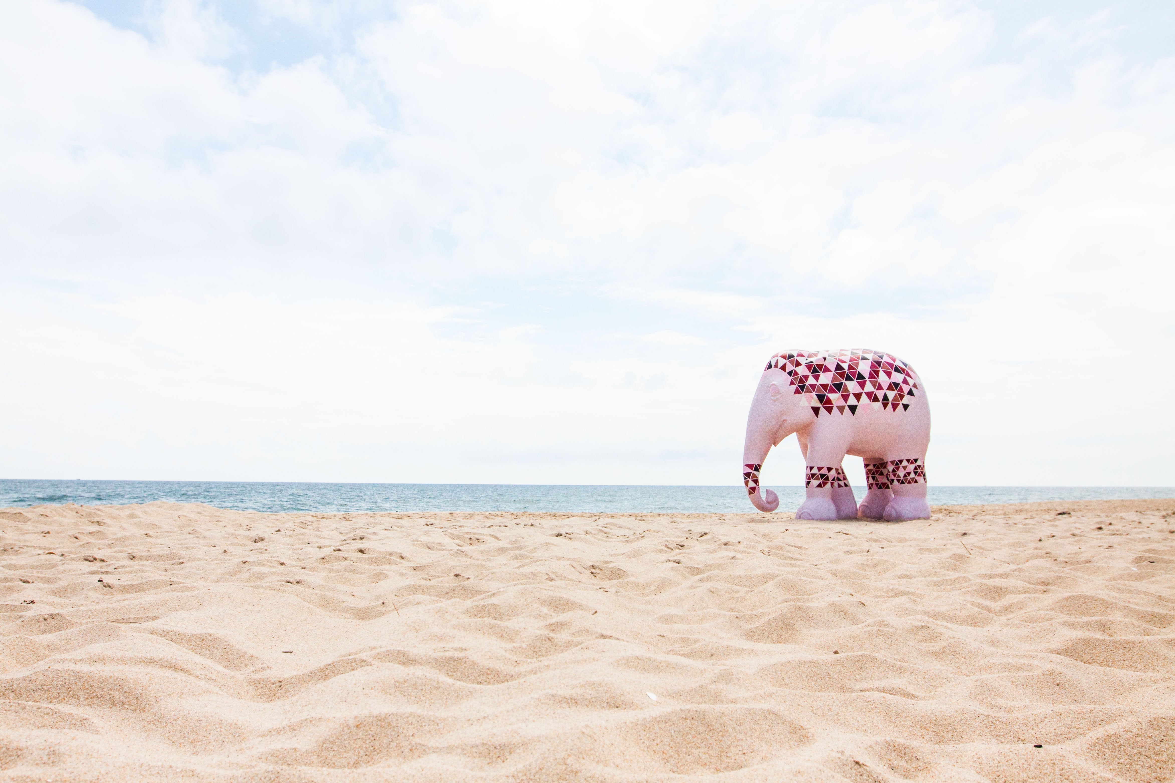 Elephant Parade – Shop Zung